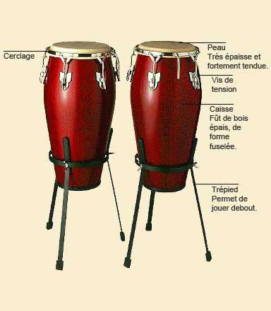 FMP Presanse - conga