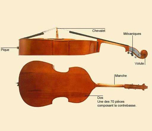 FMP Presanse - contrebasse