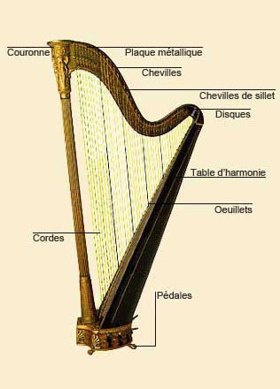 FMP Presanse - harpe